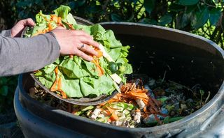 Reduce Food Waste in Restaurants: 13 Effective Strategies