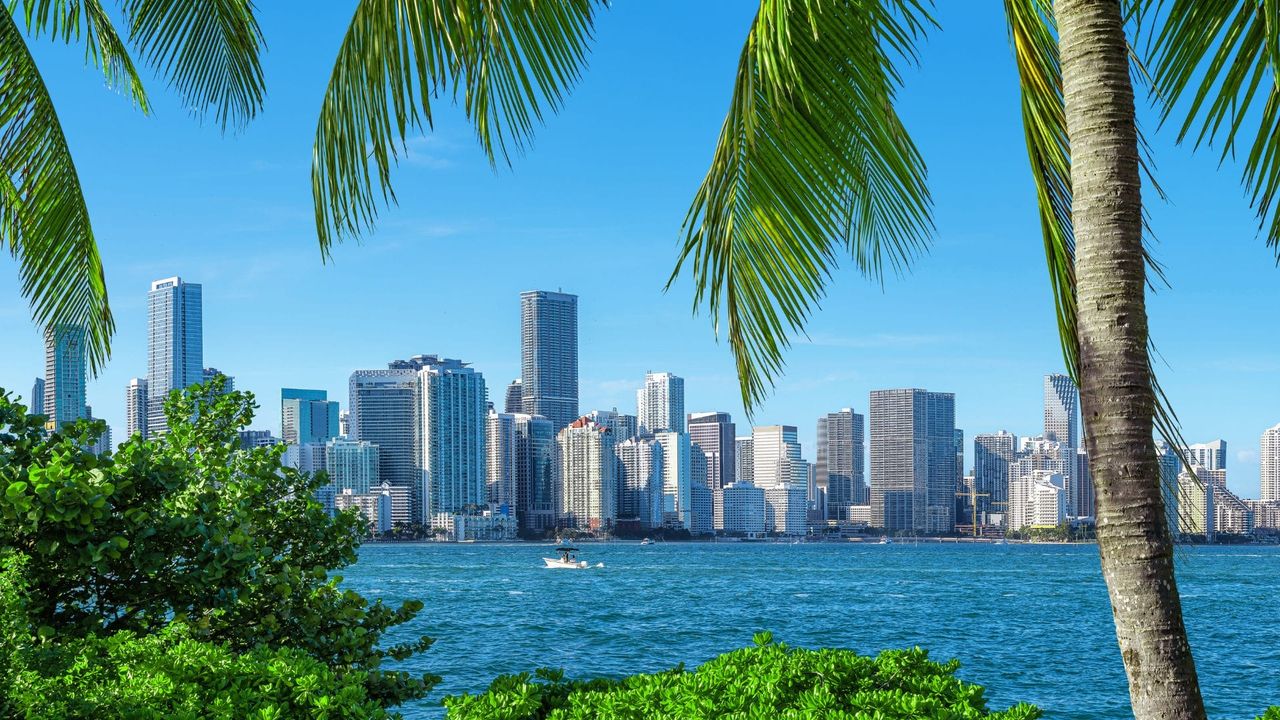 Miami Job Fairs 2025: Find Exciting Roles & Career Opportunities