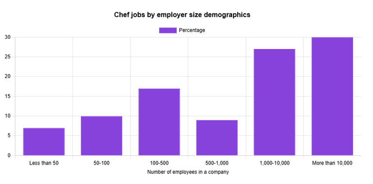 Chef Demographics, Wages & Statistics in the US – 2024